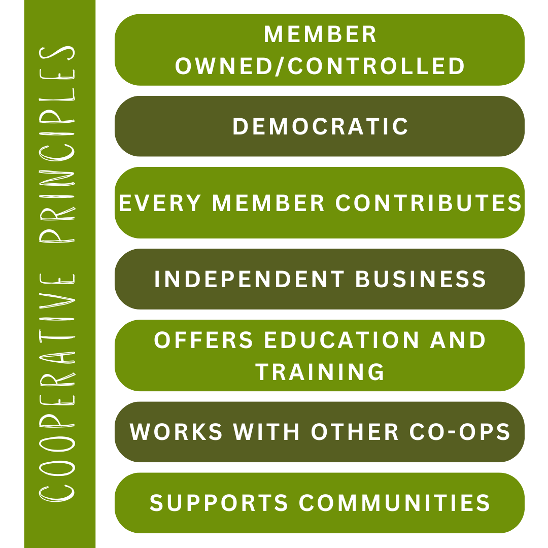 What is a workers co-operative? – Upper Ballaird Farm Coop
